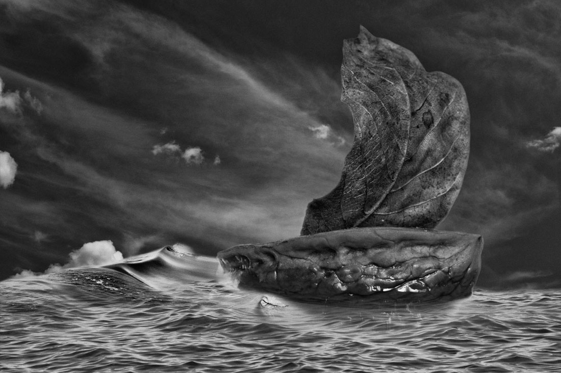 MonoVisions Photography Awards - International Black and White Photo ...