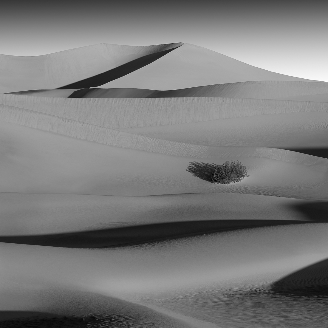 MonoVisions Photography Awards - International Black and White Photo ...