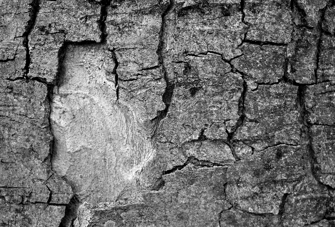 MonoVisions Photography Awards International Black And White Photo MonoVisions Photography Awards International Black And White Photo