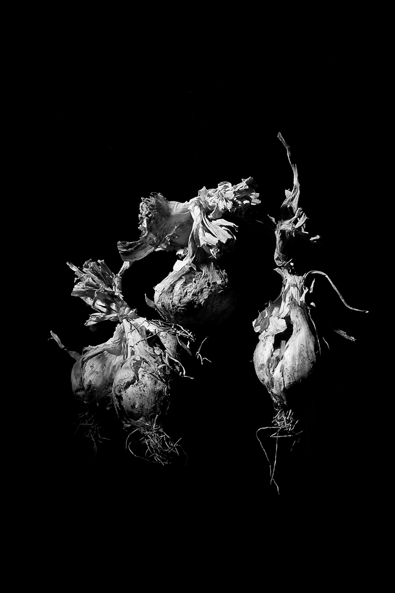 MonoVisions Photography Awards - International Black and White Photo ...